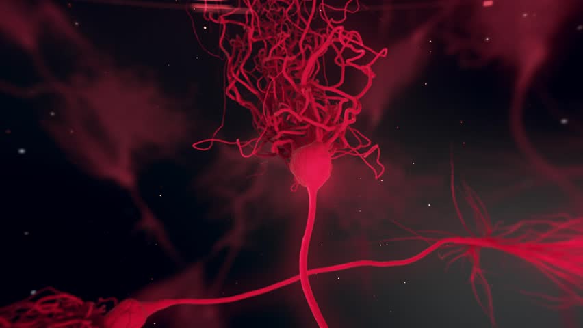 Real Neuron Synapse Network 3D Animation. Infinite Loop Inside The ... Real Neuron Synapse Network 3D Animation. Infinite Loop Inside The ...