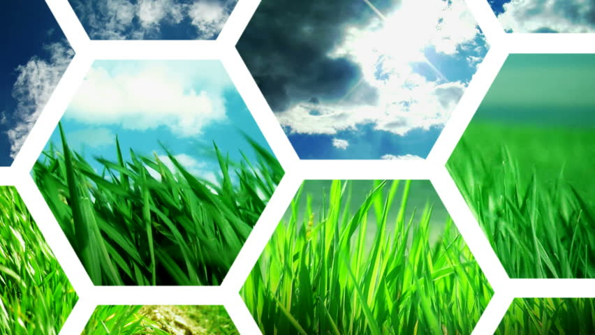 Green Colors Of Nature And A Clean Environment Stock Footage Video ...