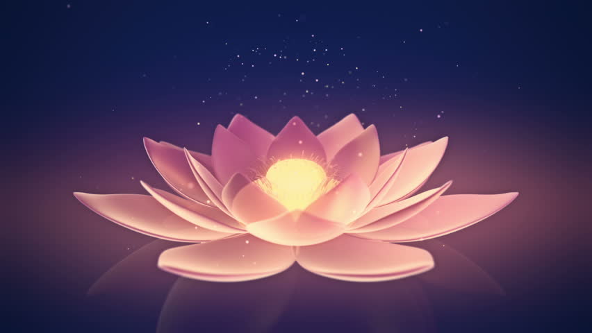 Animation Of Rotation Lotus With Waving Petals. Animation Of Seamless ...