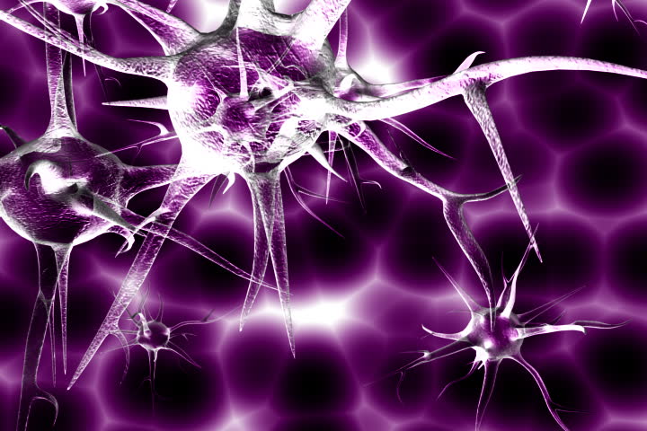 Neuronal Purple And Red Synapse Activity Zoom Real Animation Inside The ...