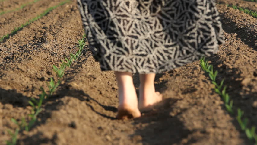 Woman Feet Step Barefoot On Spring Soil, Long Skirt In Wind Breeze ...