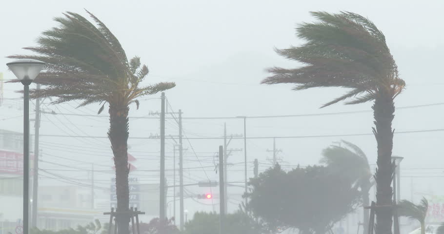 Wind Blowing Stock Footage Video - Shutterstock