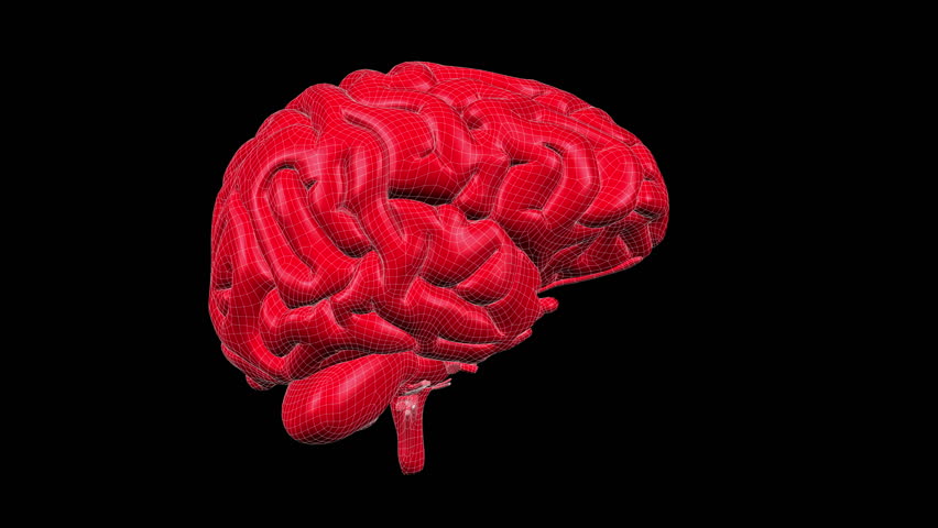 Brain Wallpaper Red