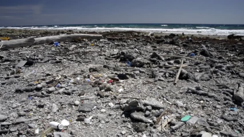 Caribbean Sea Pollution